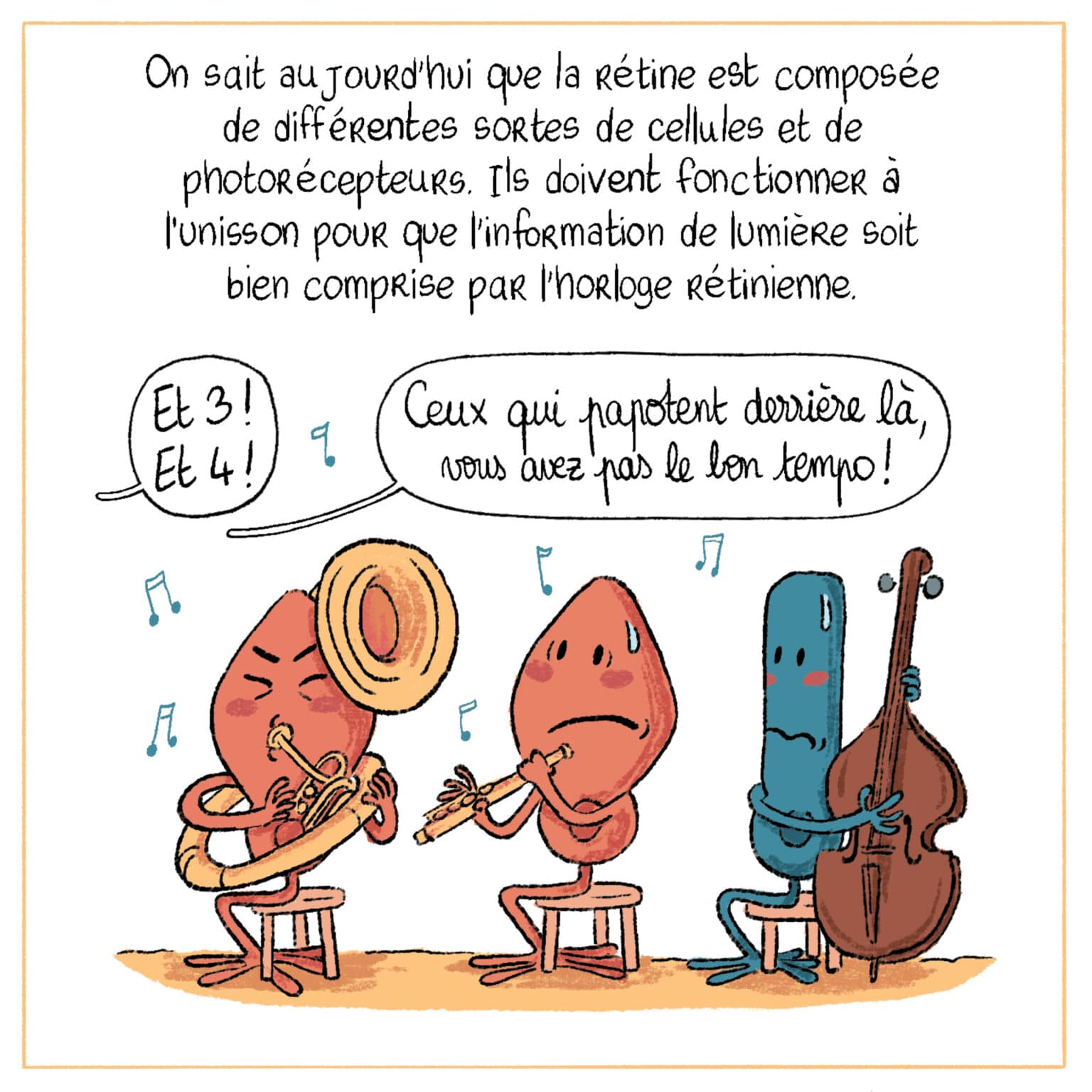 Comment les horloges rétiniennes voient-elles la lumière ? La réponse ...
